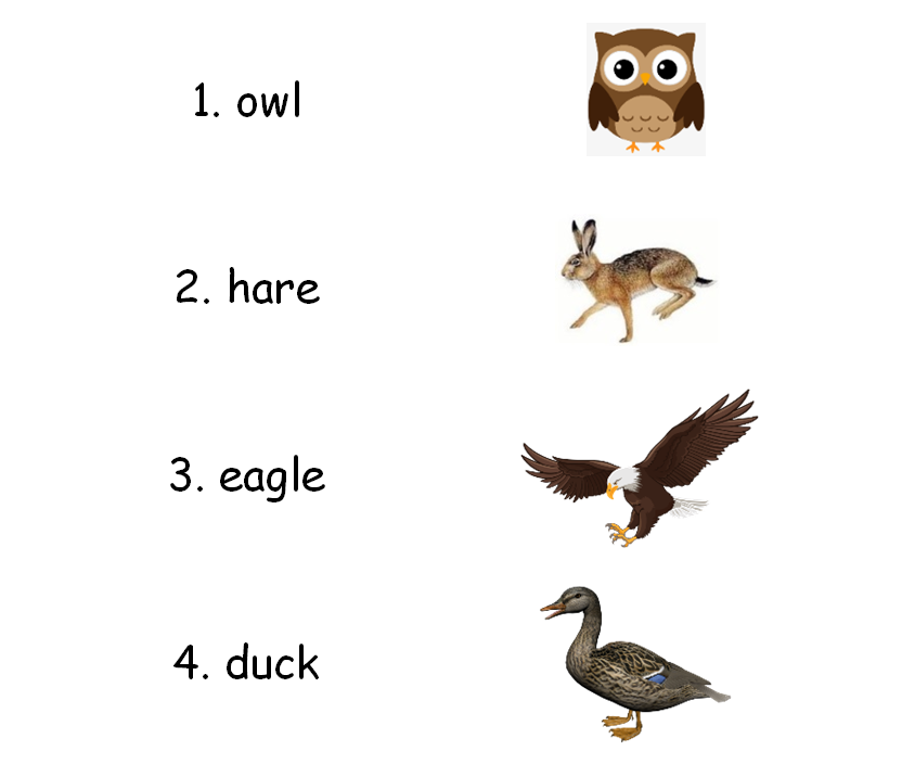 Unit: 5 - The animal school