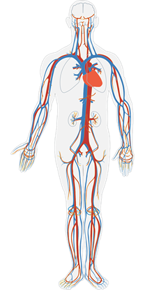 ΜΙΚΡΗ & ΜΕΓΑΛΗ ΚΥΚΛΟΦΟΡΙΑ