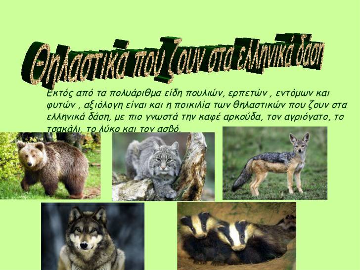 Ενότητα Δ΄. Φυτά και ζώα του τόπου μας